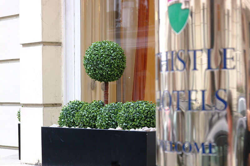 Hotel Outdoor Plants - Exterior & Entrance Plants for Hotels - Leaflike