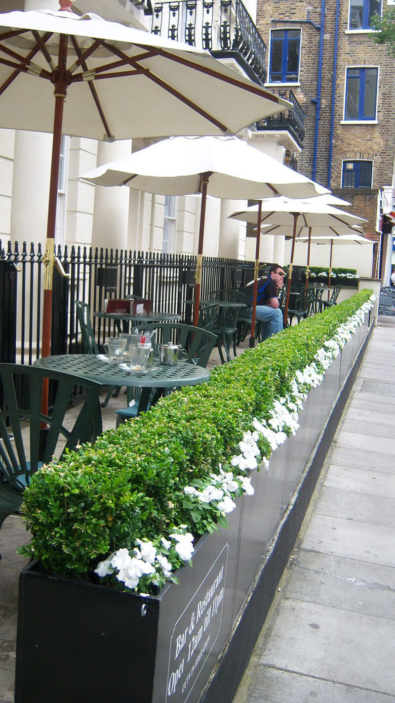 Hotel Outdoor Plants - Exterior Plants for Hotels - Leaflike