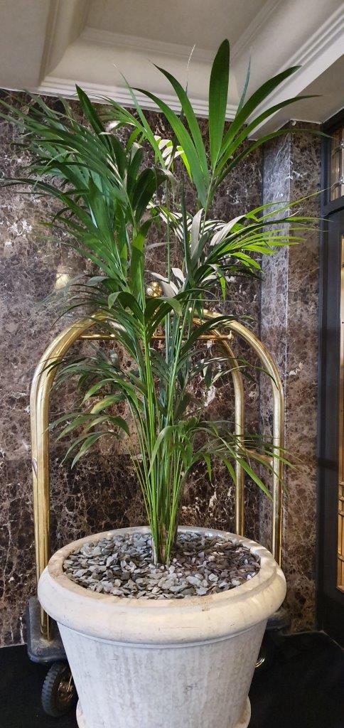 Millennium Gloucester London Case Study - Leaflike