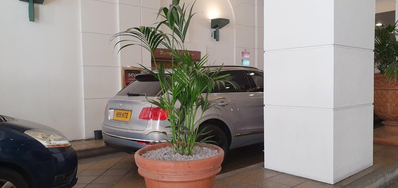 Millennium Gloucester London Case Study - Leaflike