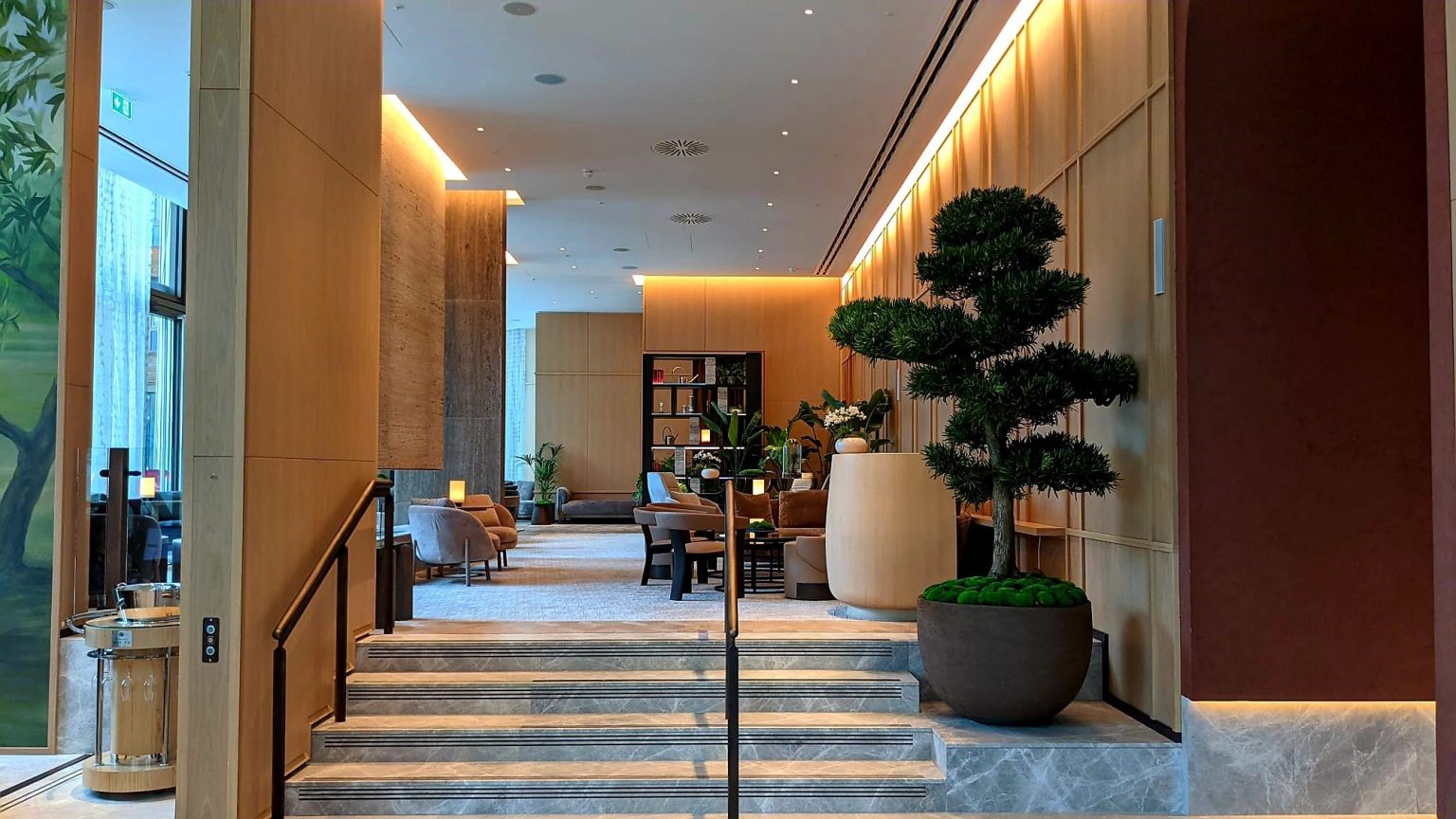Hotel Plants - Entrance & Lobby Flowers - Plants Hotel - Leaflike