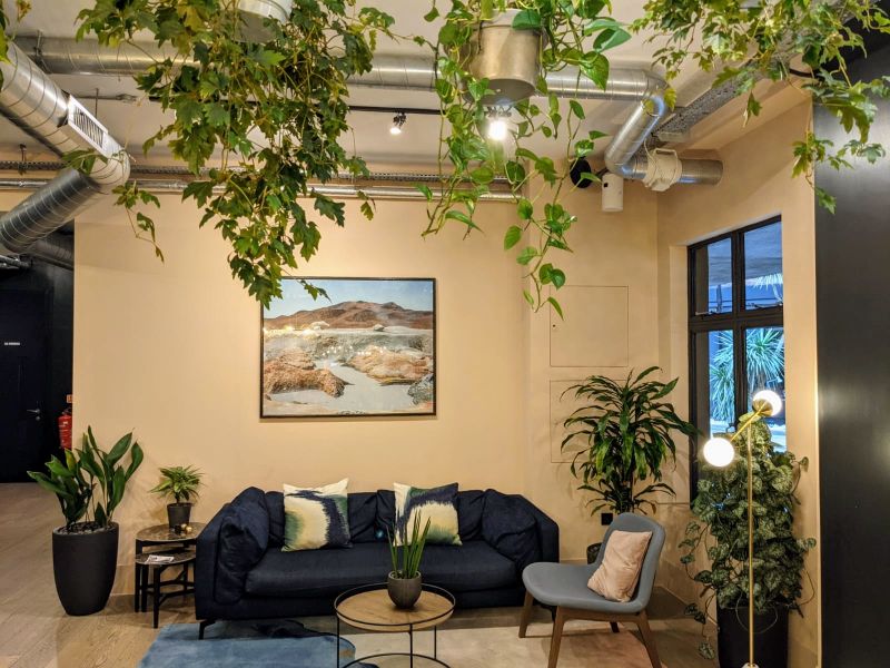 Office Plants - Commercial & Office Planting - Leaflike