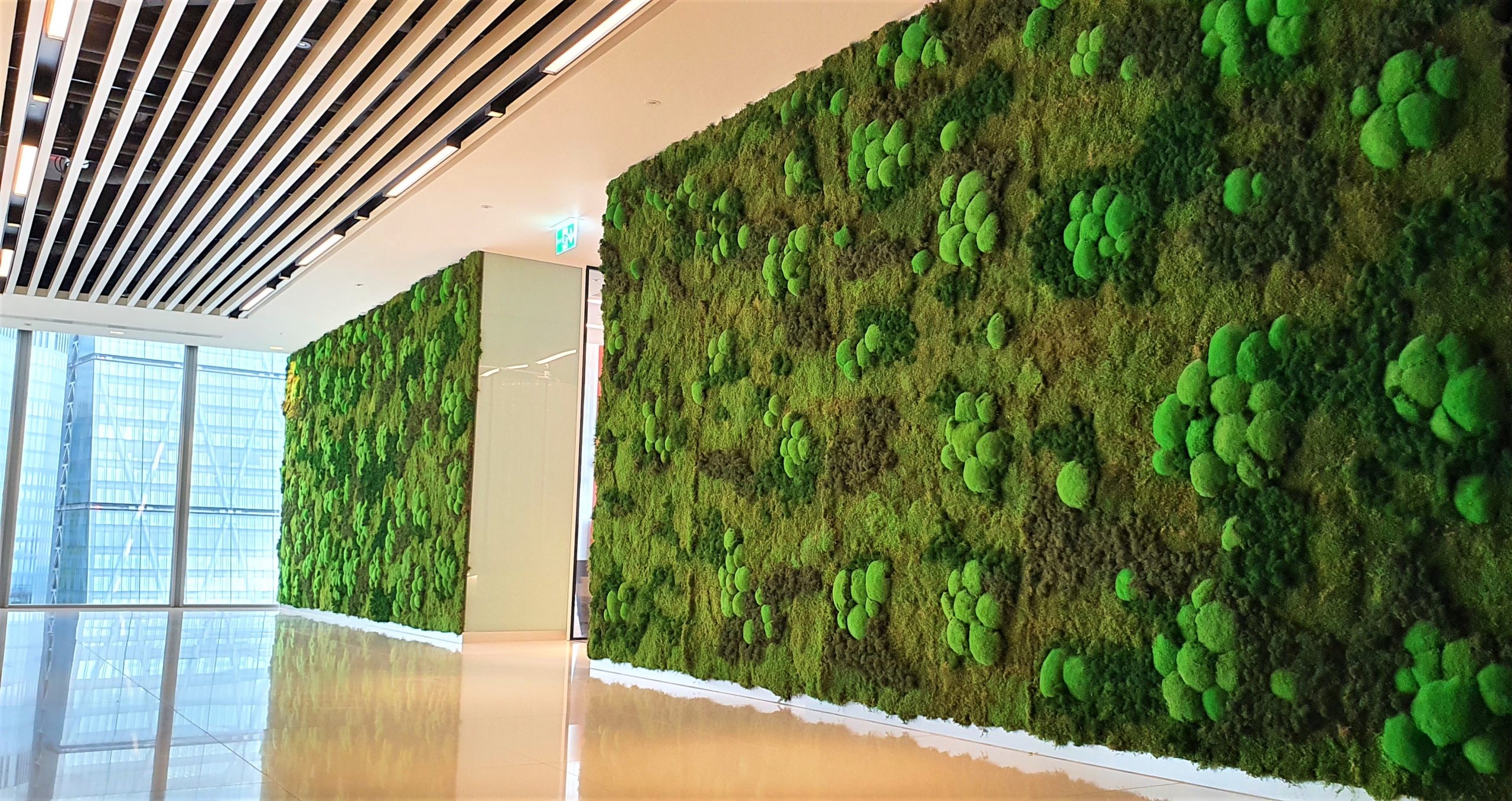 Moss Wall - Indoor Moss Wall Panels - Leaflike