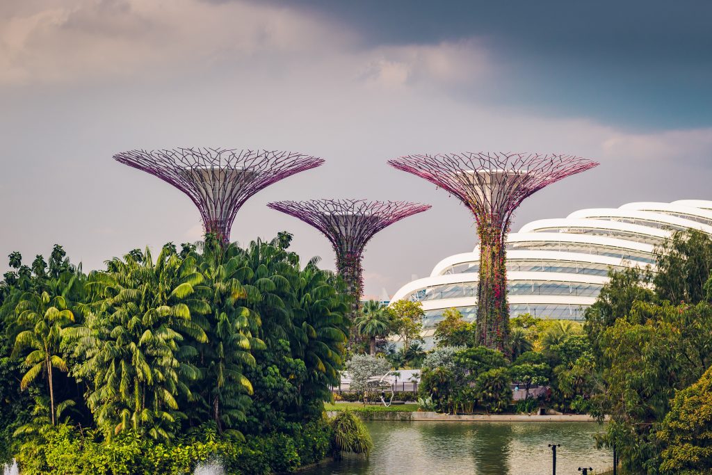 Designing cities with nature in mind - Leaflike