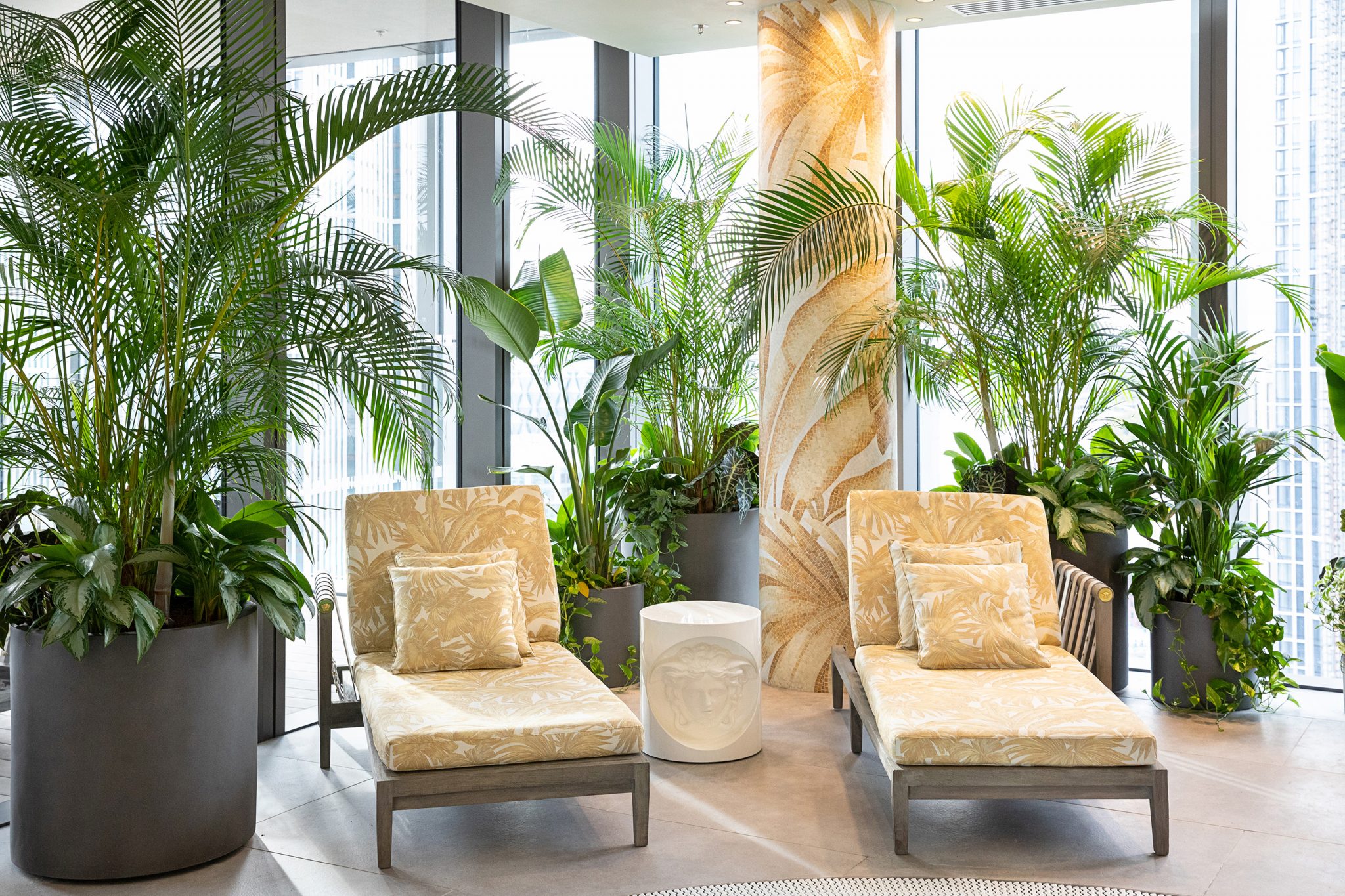 Leaflike | Hotel Plants - Reception Flowers - Plants For Hotel Lobby