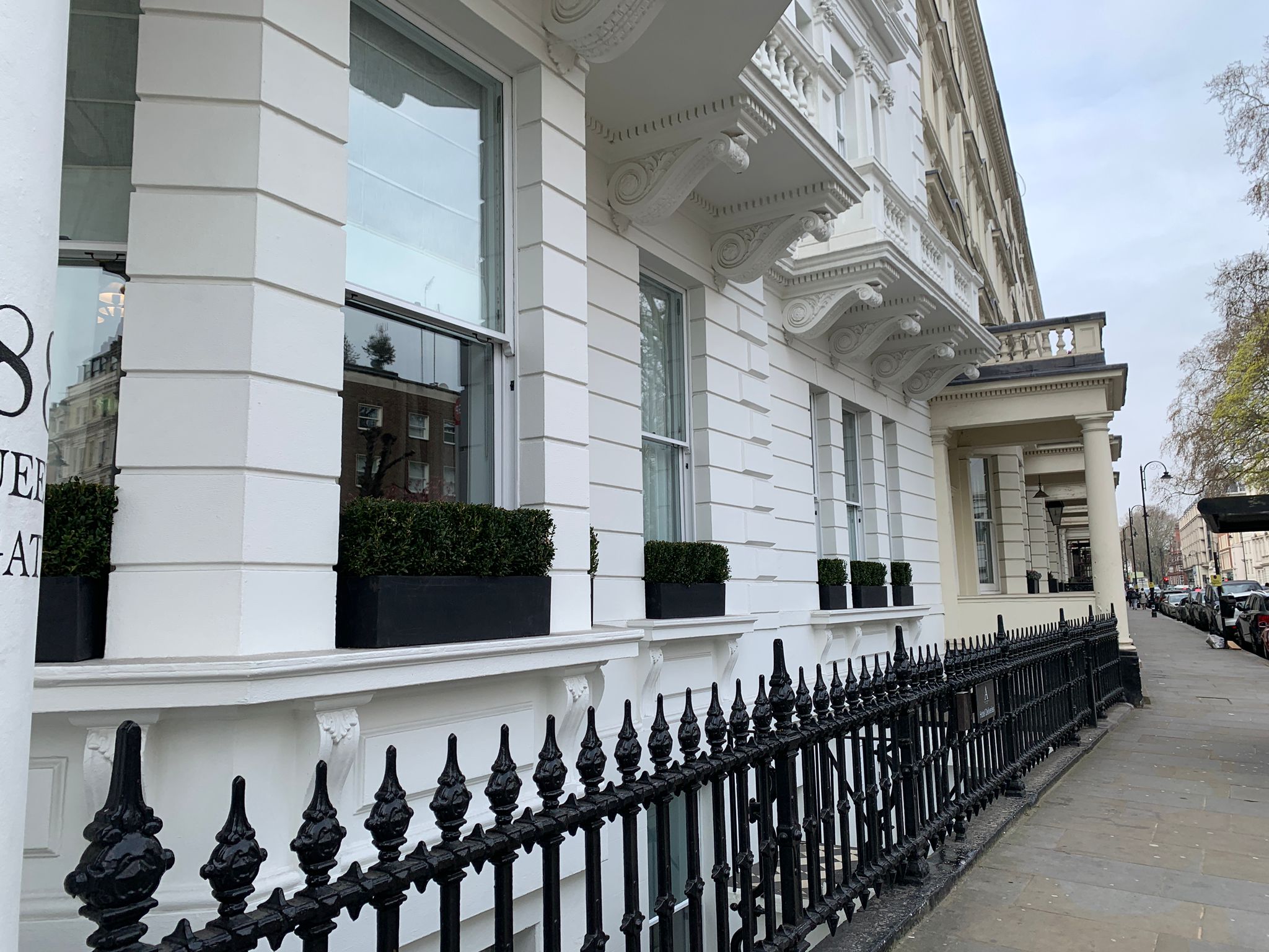 Hotel Outdoor Plants - Exterior Plants for Hotels - Leaflike