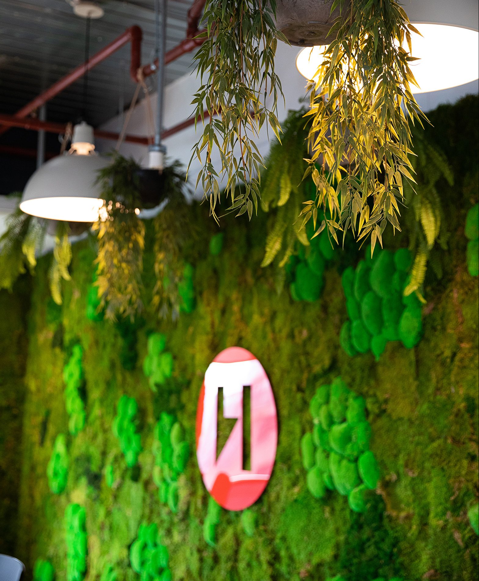 Office Plants - Commercial & Office Planting - Leaflike