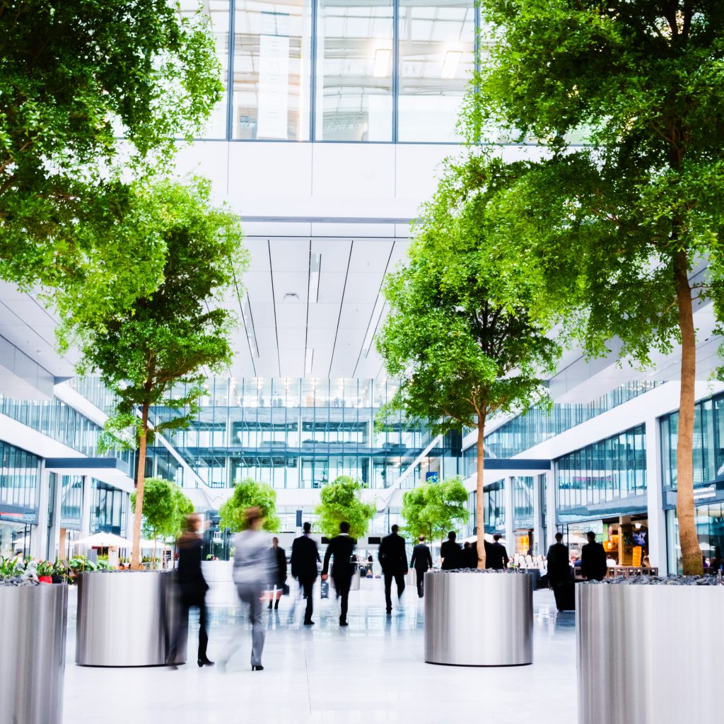 Engage All Senses: Leaflike Pioneers Biophilic Design | Leaflike Engage All Senses: Leaflike Pioneers Biophilic Design | Leaflike